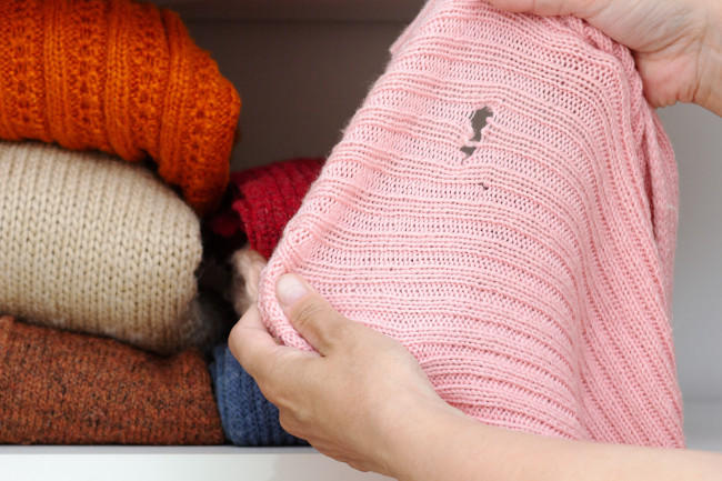 How to Protect Your Linens from Clothes Moth Damage | Longhorn Termite ...